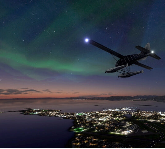 FlightsimWebshop - The Flight Simulator Experts